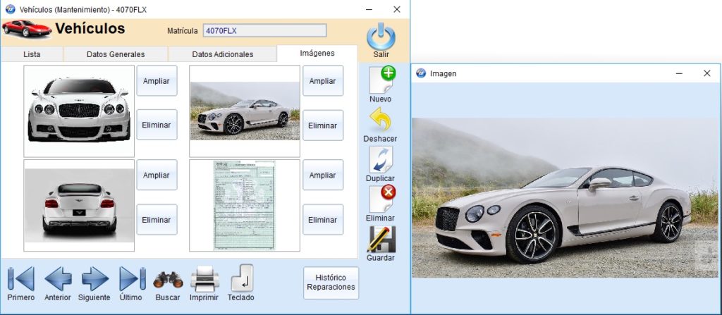 Datos de Vehículos | Infotronic Software